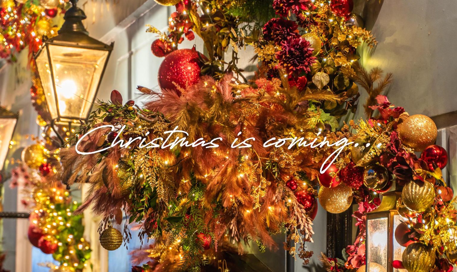 Chelsea Restaurant - Fifty Cheyne, an elegant London Restaurant